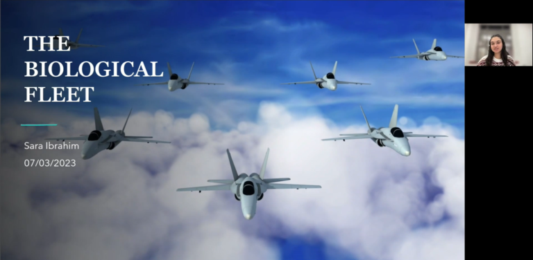 Joe Morrall Award 2023 Winner: Sara Ibrahim - RAeS Boscombe Down Branch